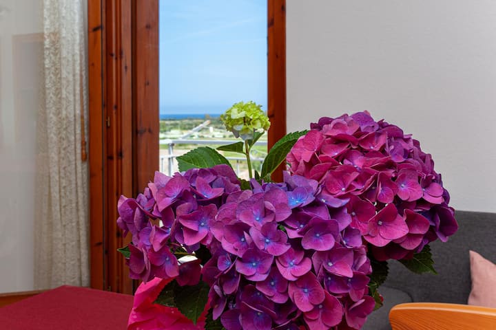 Prenda Home Holiday - Posada