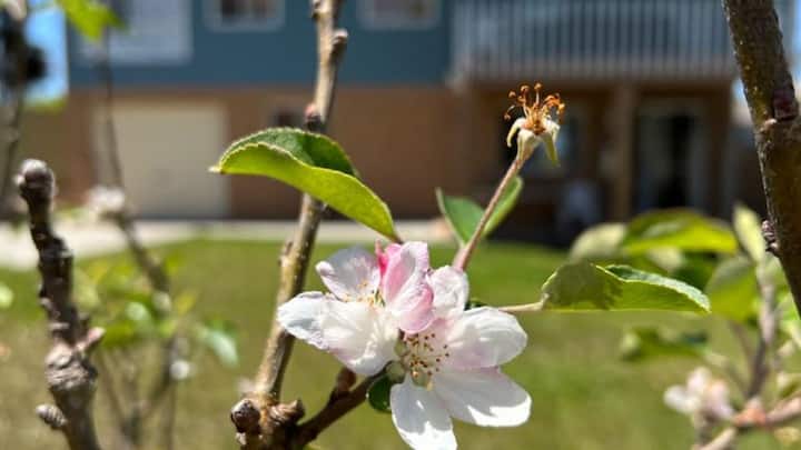 Sanctuary 79 - Four-bedroom Family Home - Sussex Inlet