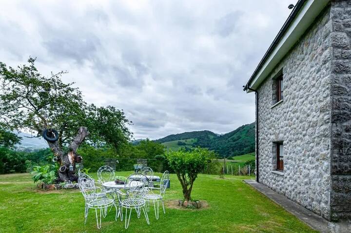 Maison Familiale, Isongo, Cheminée - Cangas de Onís