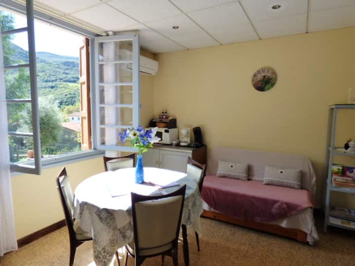 Appart. Arles-sur-tech - Arles-sur-Tech