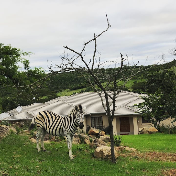 White River Cabin Rentals | Cabins and More | Airbnb