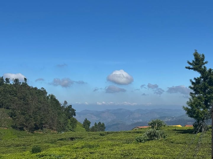 Bagaan - Tea Plantation Stay, Ooty - 