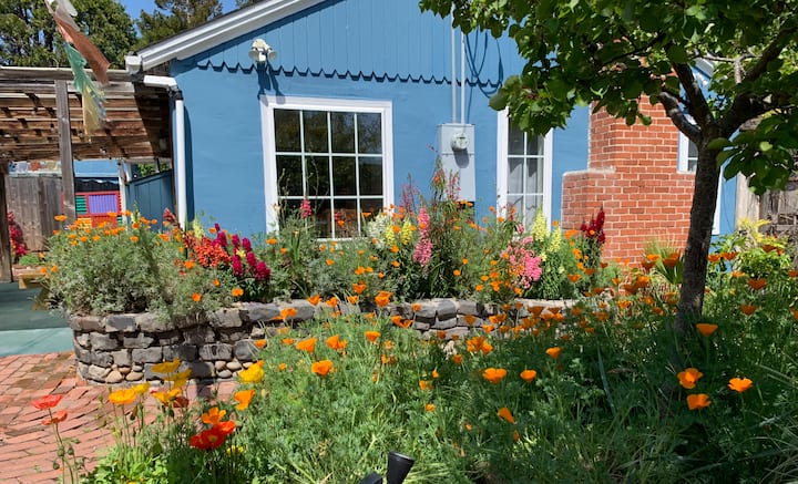 Enjoy Garden Paradise 5min To Beach In 3bdr House - Santa Cruz, CA