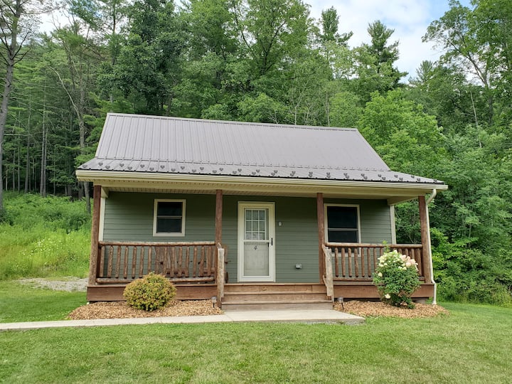 Great Valley Cabin 4 - Colton Point State Park, Wellsboro
