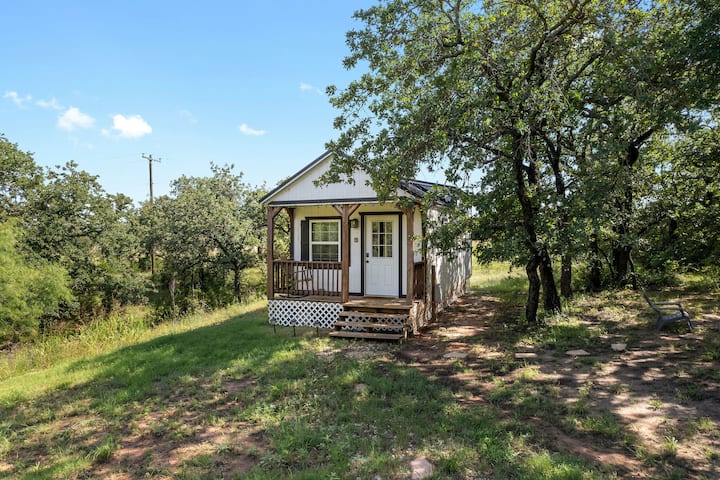 6 Tiny Town Regulators Bunk House Ranch Animals - Carlton, TX