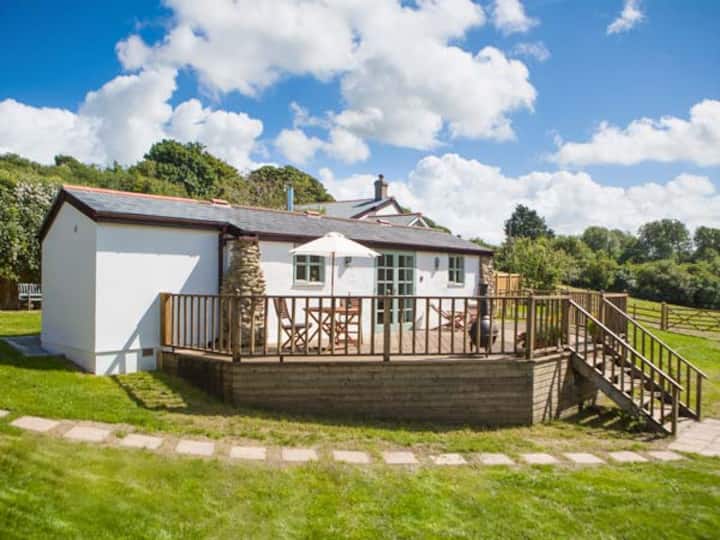 Five Elements Studio - Perranporth