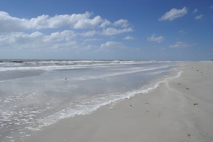 Beach Across The Street! 3 Spacious Rooms, Sunroom - Indian Rocks Beach, FL