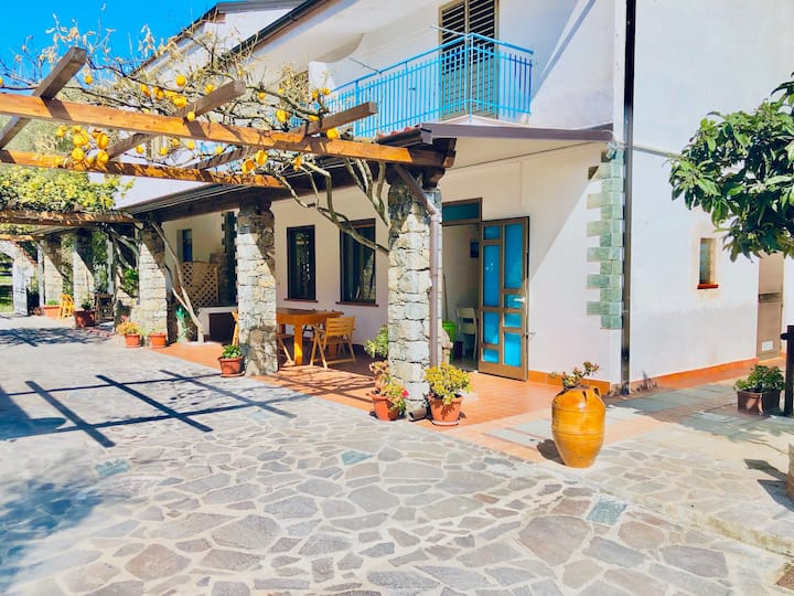 Villa Arco 9 - Palinuro