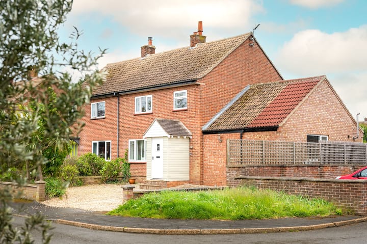 Curlew, Brancaster - Brancaster