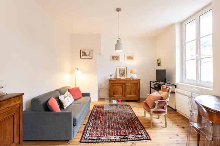 Bel Appartement Lumineux Et Calme Au Coeur De Lyon - Lyon