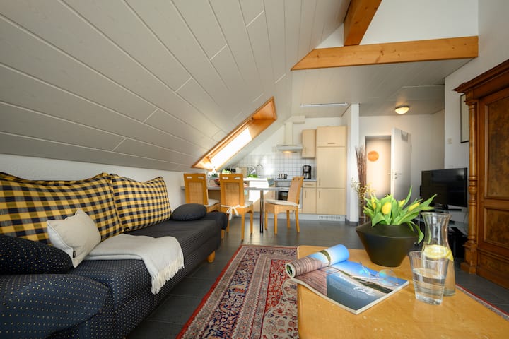 Ferienwohnung Mara - Singen