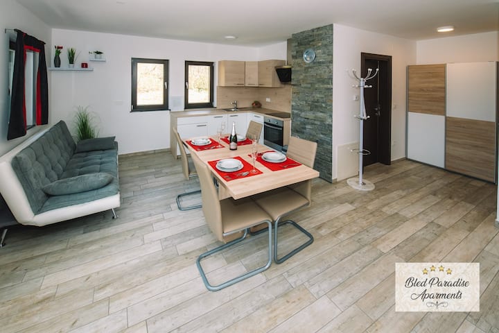 Modern Studio With A Terrace And Triglav View In Bled - Bled