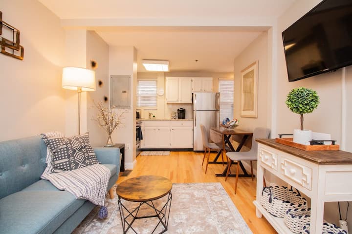 Multi-level Townhouse, Harvard, Mit, Red Line - Cambridge, MA