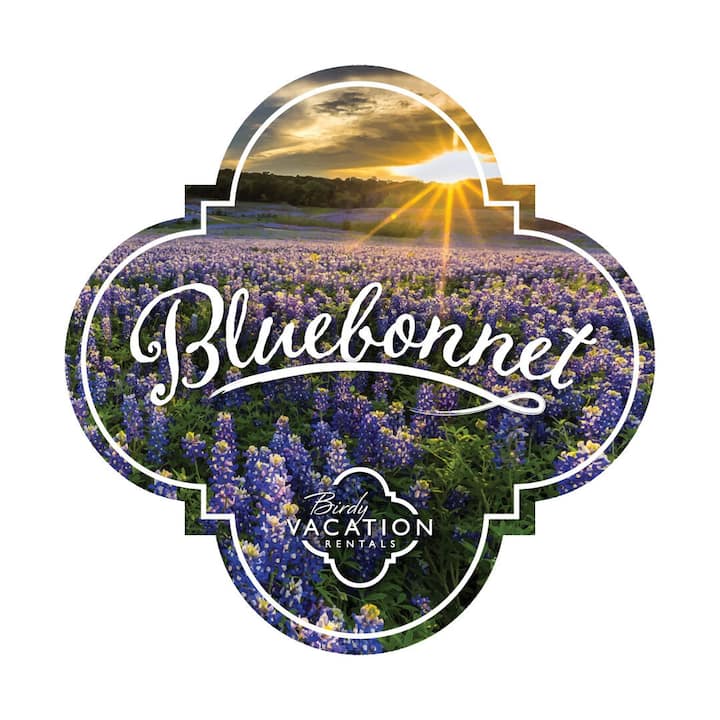 Bluebonnet - A Birdy Vacation Rental - Helotes, TX