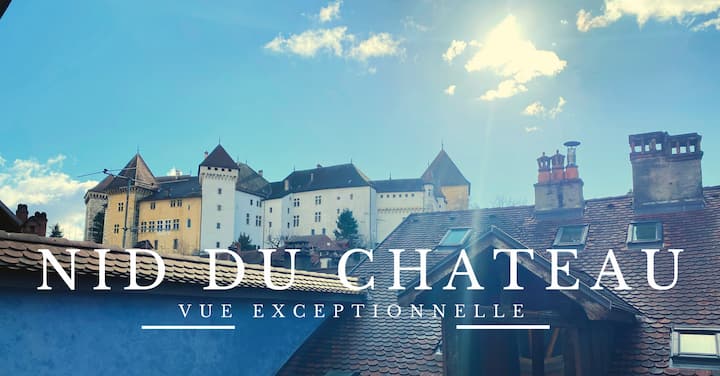 Nid Du Chateau Vieille Ville, Vue Magnifique - 안시