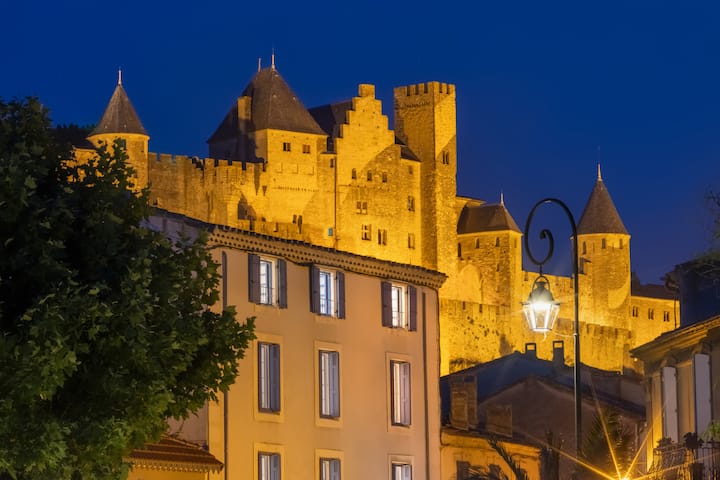 Maison Bleue Du Château Carcassonnais - Carcassonne