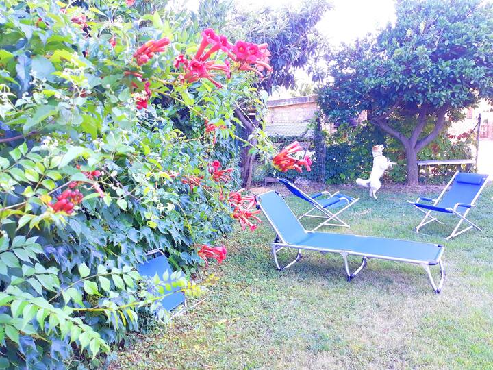 Appartement à Canosa Sannita - Ortona