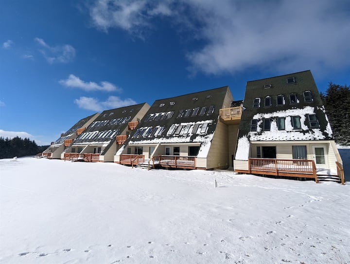 Fun 3-bed, 2-bath Ski Condo At Snowshoe Mountain-n - Snowshoe, WV