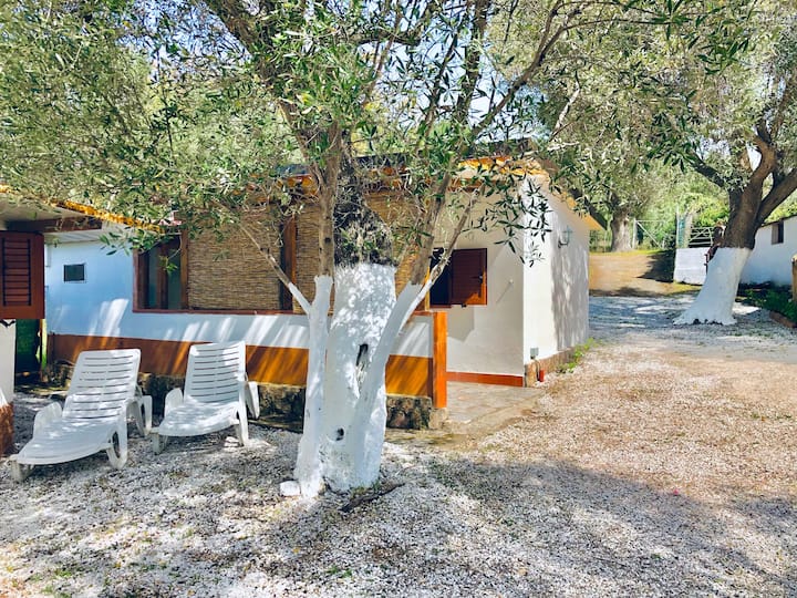 Blu Med Puffo - Palinuro