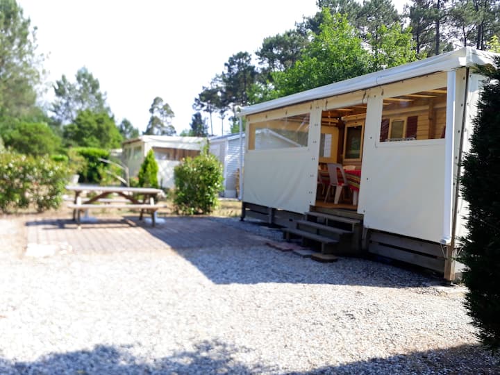 Bungalow à Saint-julien-en-born - Plage de Contis