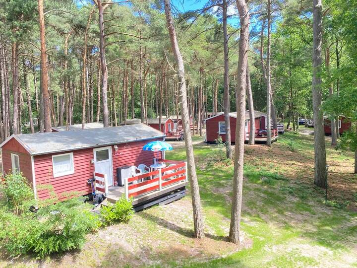Bungalow Prachttaucher 53 - Dranske