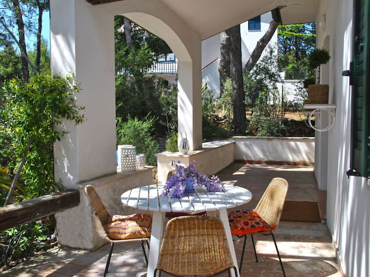Corbezzolo By Interhome - Sperlonga