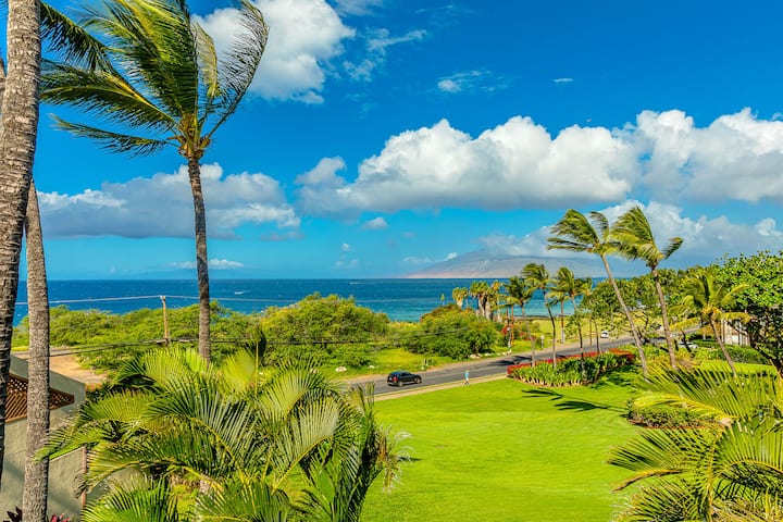 Ocean View Condo Across Kamaole Beach - Wailea, HI