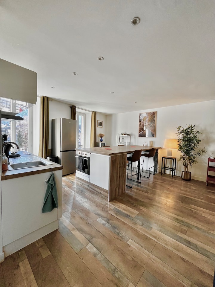 Bel Appartement - Centre Ville - 5 Min Gare - Albertville