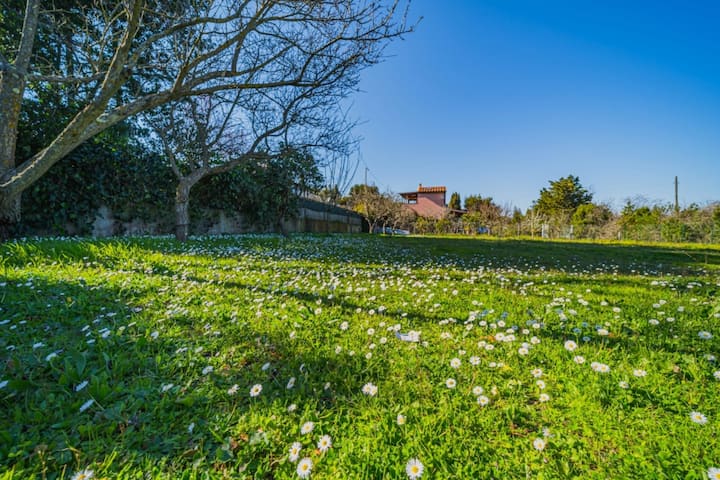 Casa Alex A Schiopparello - Elba