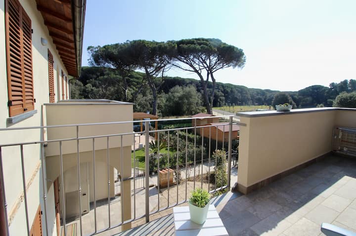Podere S. Francesco App.to Blu - San Vincenzo