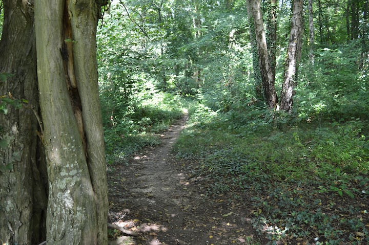 Oasis Verte - Aachen