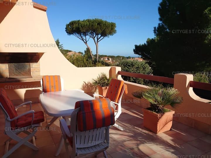 6amb38 - Villa Avec Piscine - Collioure