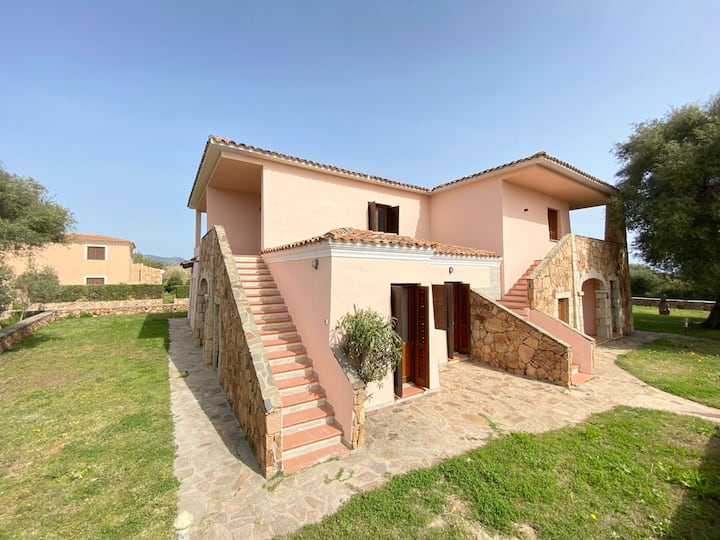 Cinta 2 - San Teodoro