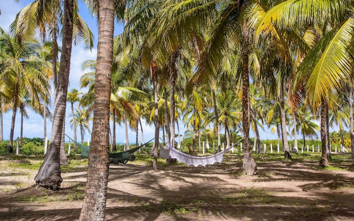 Luxobrasil #Al01 Sítio Santa Mônica Costa Dos Corais Alagoas Aluguel De Temporada - Maceió