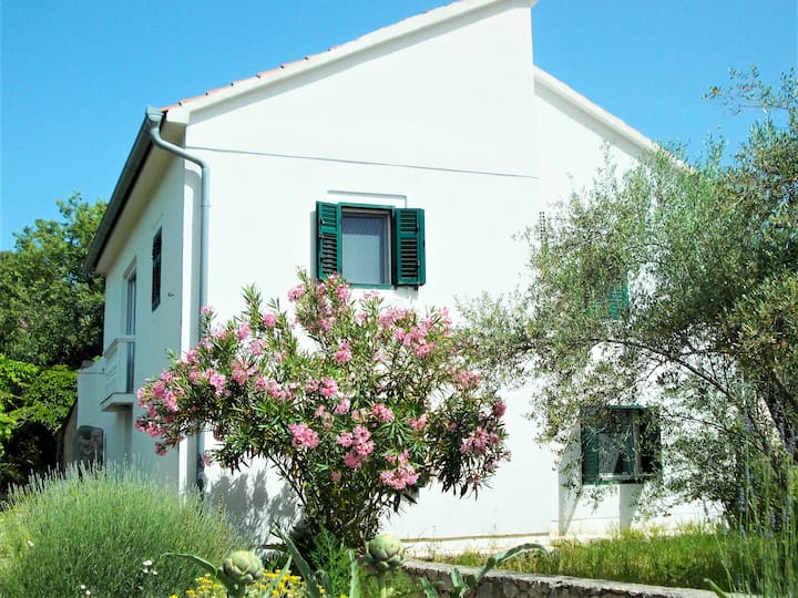 Maison à Lukoran, Vue Sur La Mer - Dugi Otok