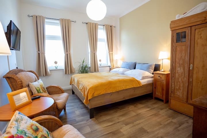 Double Room-standard-private Bathroom-park View - Harz