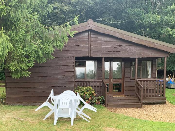 Sycamore Lodge - Uk38193 - Devizes