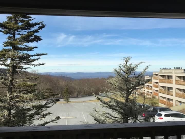 2208  Paradise In The Mountains - Walk To Sledding - 비치 마운틴