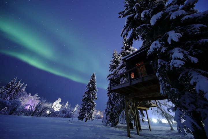 Grousetree House,  Hot Tub, Rope Bridge - Fairbanks, AK