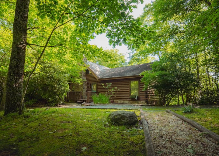 Fetching Fox - Boone, NC