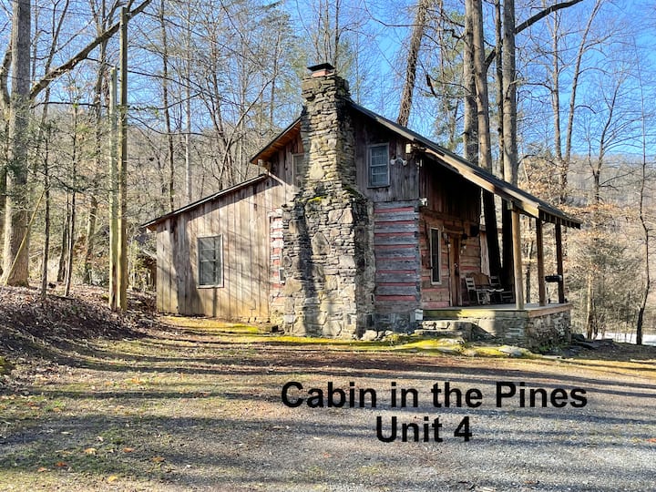 Cabins In The Pines Unit 4