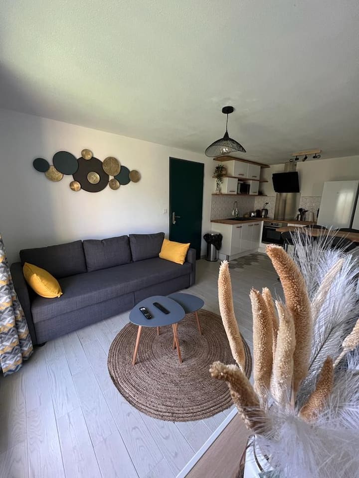 Le Cozen - 2/3p - Proche Centre - Parking & Jardin - Aucamville