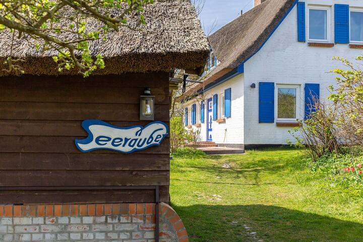Seeräuber - Darß