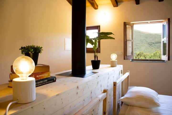 Telhados De Xisto - Casa Recuperada - Lousã