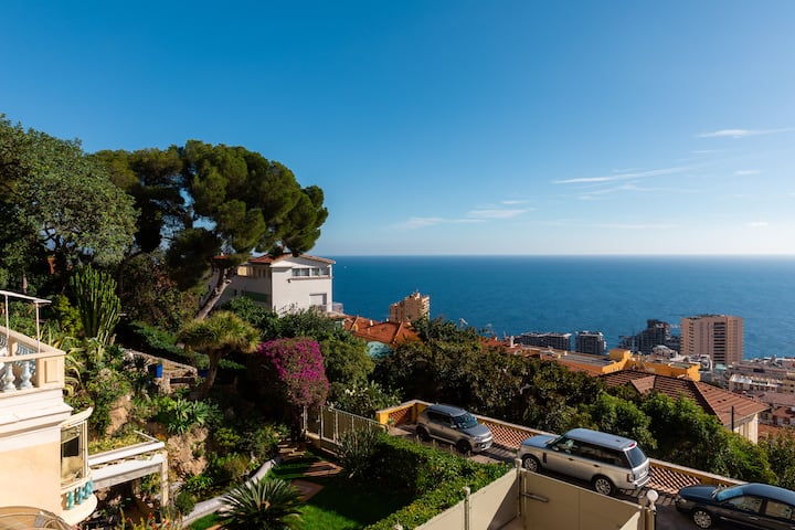 Magnifique Vue Mer Baie De Monaco - Monaco