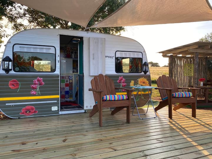 Hluhluwe Bush Camp Glamping Village Poppy Caravan - Hluhluwe
