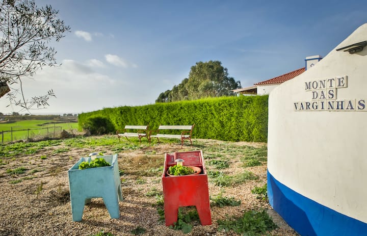 Monte Varginhas Porto Covo - Casa Grande - Porto Covo
