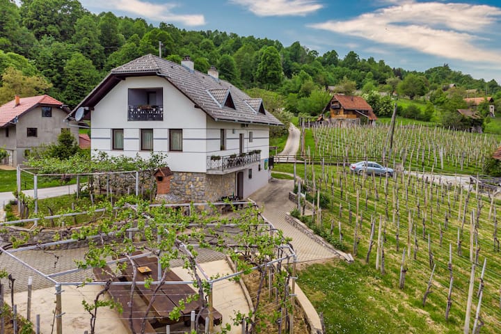 Vineyard Homestead Vrtin - Happy Rentals - Gradac