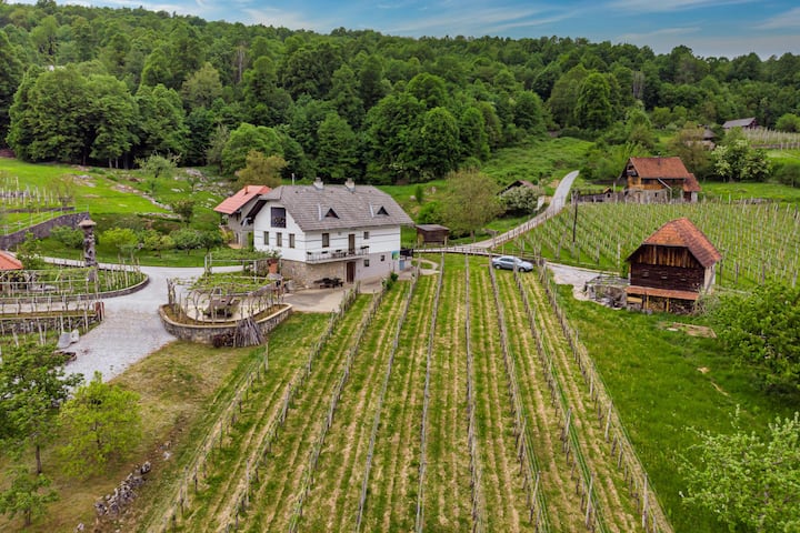 Vineyard Homestead Vrtin - Happy Rentals - Slovenië