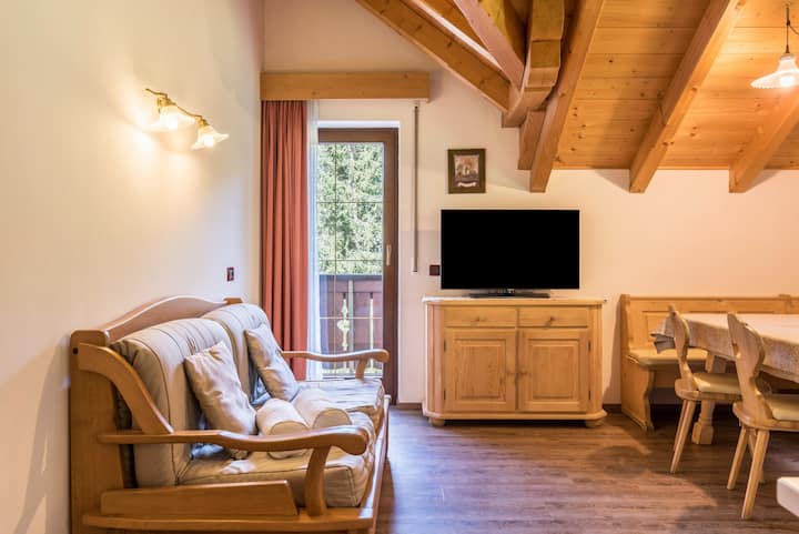 Appartamenti Prapoz Typ E - Alpe di Siusi